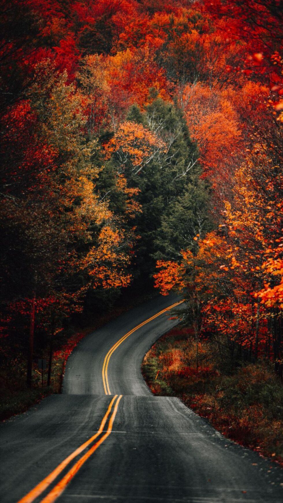 30+ Free Fall iPhone Wallpapers Halloween Phone Wallpaper