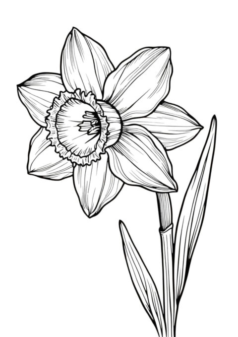 25 Cute and Aesthetic Spring Coloring Pages for All Ages (Free PDF ...